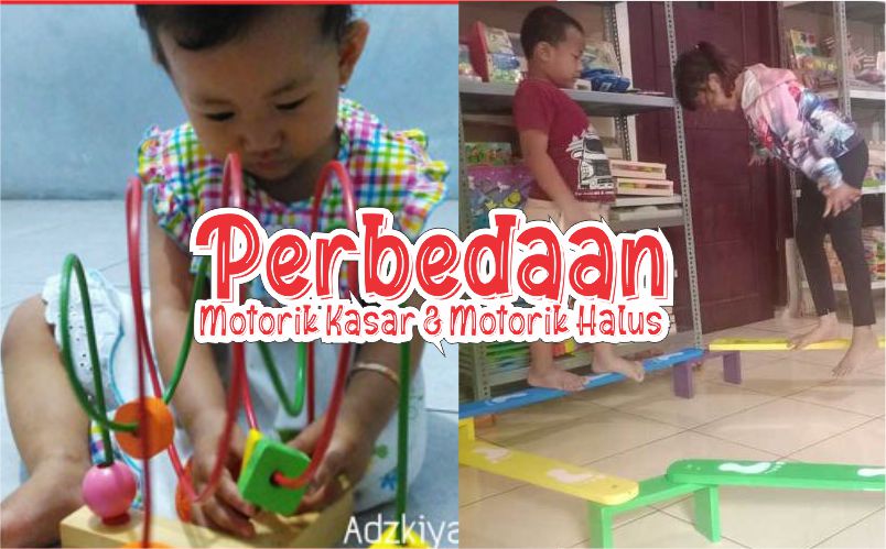 Perbedaan Motorik Halus dan Kasar Serta Cara Melatihnya - Kayu Seru